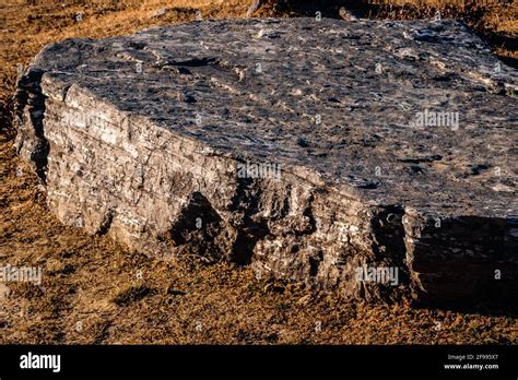 Regional Metamorphism