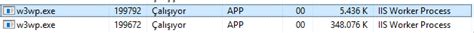 Iis Application Pool Worker Process Ayarı Ve Aspnet Session State