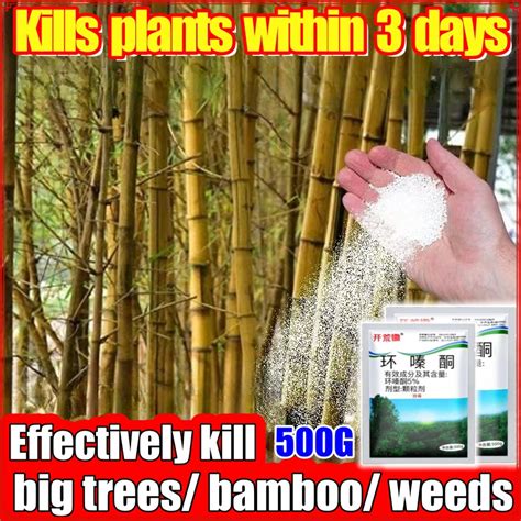 Tree Killer Chemical Herbicide Which Easily Kill Big Trees And Bamboo Weeds Bamboo Killer