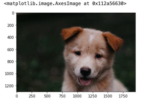 Images And Numpy My Notes