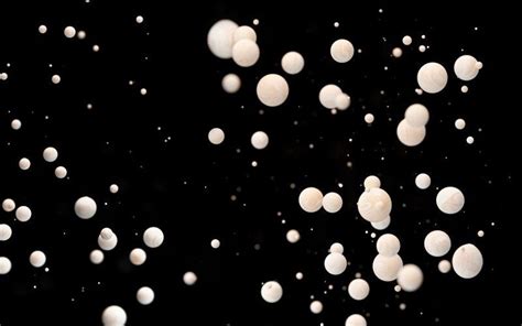 Why Danone Bet On Precision Fermentation And ‘white Biotech For The