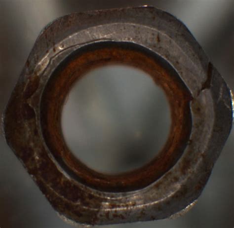 Nut Detection Object Detection Dataset By Gauransh