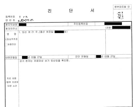 임신확인서 임신진단서 발급 방법 및 비용