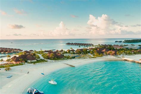 500 张最精彩的“mcdonalds Maldives”图片 · 100 免费下载 · Pexels素材图片