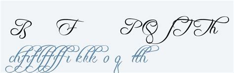 Booter Script Fonts Free Download Onlinewebfonts