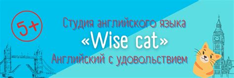 Студия английского языка для детей «wise Cat Студия английского