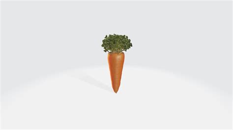 3d Carrot Turbosquid 2281516