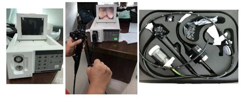 Denise Gui On Linkedin Endoscopy For Our Customer