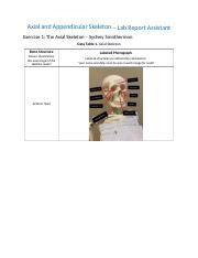 Lab Report Axial And Appendicual Skeleton Docx Axial And Appendicular Skeleton Lab