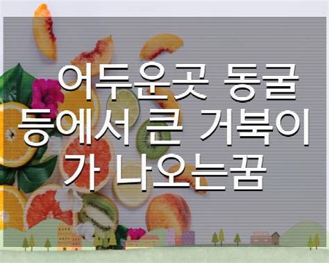 어두운곳 동굴 등에서 큰 거북이가 나오는꿈