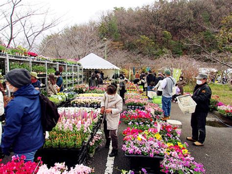 第128回 松山植木まつり 愛媛 松山市 良質な植木や花木に出会える植物のお祭り イマナニ