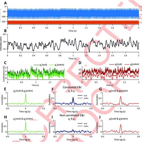 Estimation Of The Correlation Between Excitatory And Inhibitory