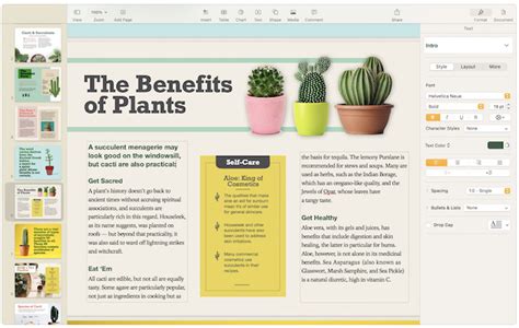 10 Best Desktop Publishing Software For Mac Of 2025 Free And Paid