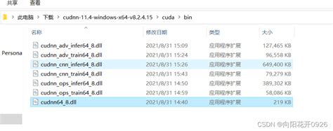 Paddlepaddle Runtimeerror Preconditionnotmet The Third