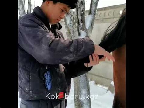 Красиво завязал хвост коня - YouTube