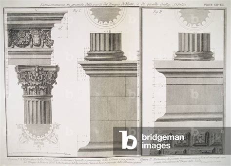 Image Of Plate Cxi Xii Illustration Of The Column Structure Of The
