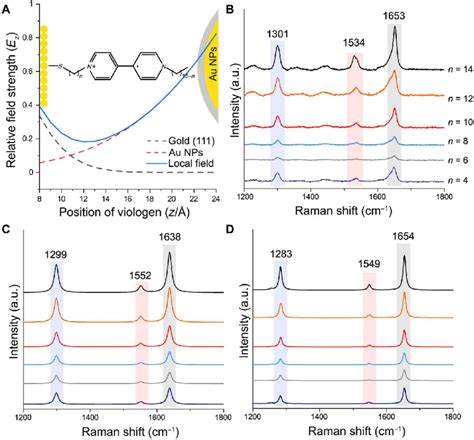 Testifying The Performance Of Sparc A Schematic Diagram Of The Download Scientific Diagram