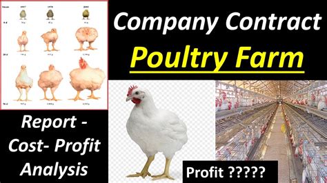 Poultry Farming With Suguna Farm House