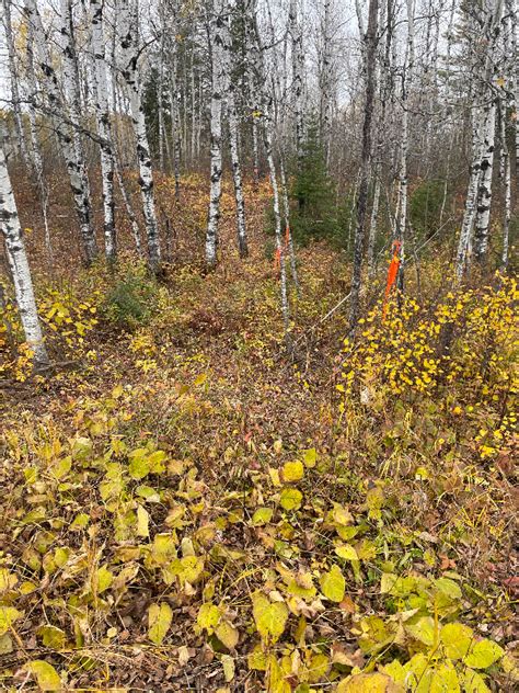 Vacant Building Acreage In Neebing Municipality Land For Sale
