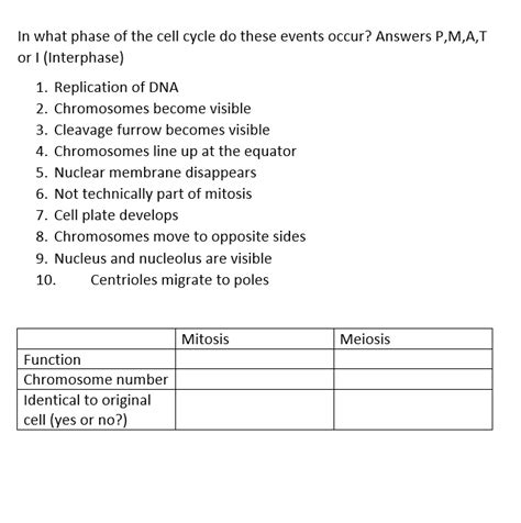 Solved In What Phase Of The Cell Cycle Do These Events Occur Answers P M A T Or Interphase