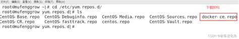 Centos7系统安装最新版本docker实战 阿里云开发者社区