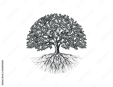 Tree And Roots Vector Silhouette In Circle Shape Stock Vector Adobe Stock