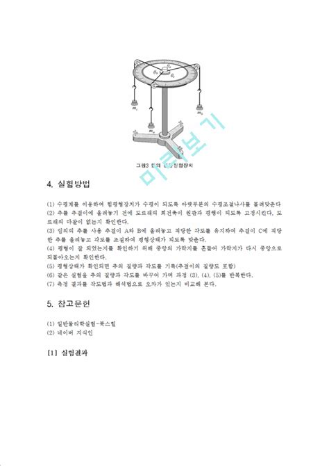 자연과학 일반물리학 실험 힘의 평형과 합성물리화학실험과제