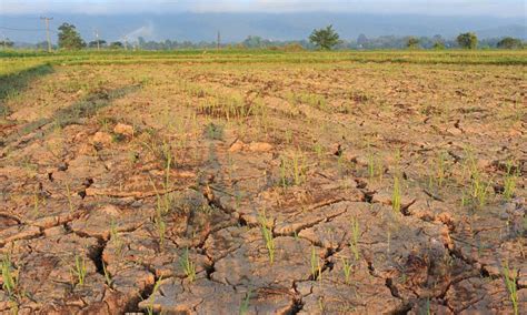 Climate Change Already Killing People Daily Mail Online