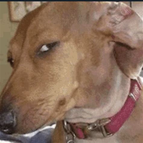 Stream Ghost Listen To Sex Music Playlist Online For Free On SoundCloud