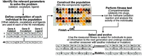 schematic illustration of genetic algorithm implemented with