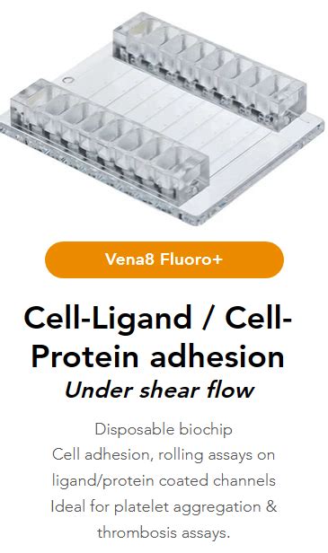 Cellix Vena Fluoro Vena Fluoro
