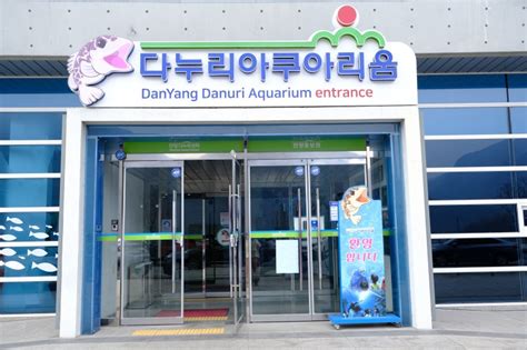 충북 단양 1박 2일 여행 다누리 아쿠아리움 주차장 입장료 가격 예매 할인 여름 실내데이트 가볼만한곳 네이버 블로그