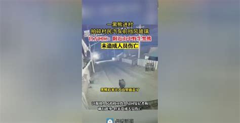 官方回应吉林敦化有黑熊进村拍碎汽车玻璃：野生熊，已回山，无人伤亡腾讯新闻
