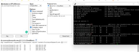 Unable To Illegal Dns Record From Pfsense Dns Resolver Corruption