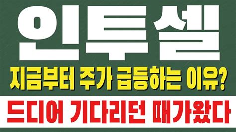 인투셀 주가전망 다음주 보호예수 물량해제 임박 이때부터 강력한 매수타점 Youtube