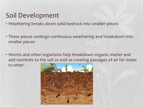 PPT Soil PowerPoint Presentation Free Download ID 6515605