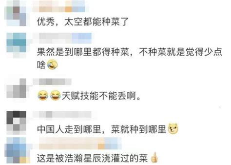 神十四航天员在空间站“种菜”，dna动了！澎湃号·政务澎湃新闻 The Paper