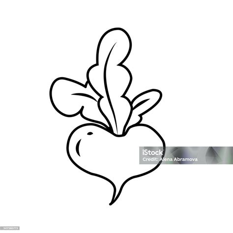 배너 전단지를위한 낙서 터닙 전체 순무 꼭대기가있는 순무 신선한 유기농 및 건강 다이어트 및 채식 야채 가을에 대한 스톡 벡터