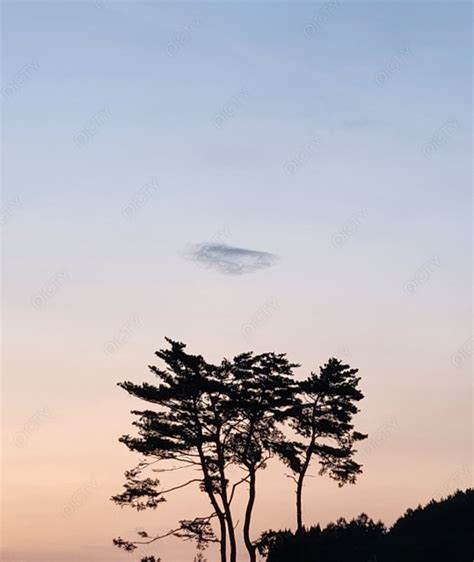 夕暮れ Id 2746 ご当地写真・イラスト素材サイト Pictyピクティ
