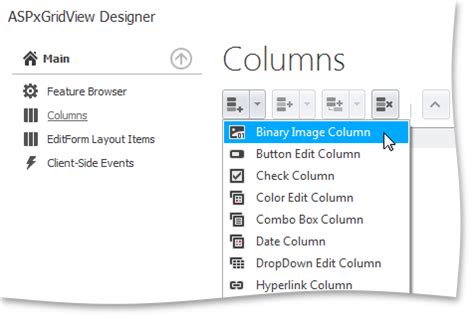 GridViewDataBinaryImageColumn Class ASP NET Web Forms Controls