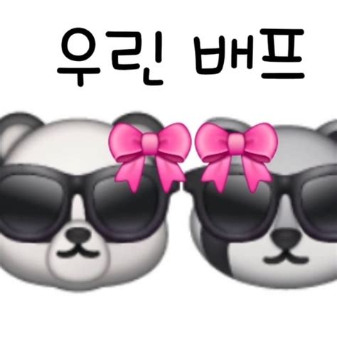 라쿤과 판다 Youtube