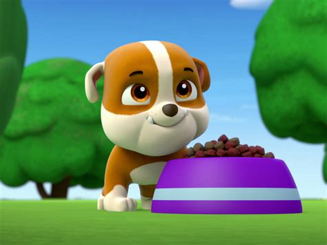 Muñequitos De Paw Patrol Patrulla De Cachorros Gran Venta Off 52