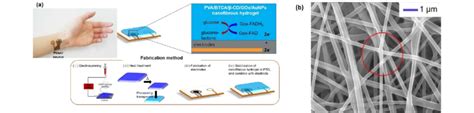 A A Non Invasive Continuous Monitoring Biosensor Fabrication Method Download Scientific Diagram