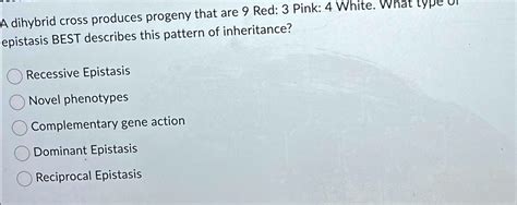 Solved A Dihybrid Cross Produces Progeny That Are 9 Red 3 Pink 4 White What Type Epistasis