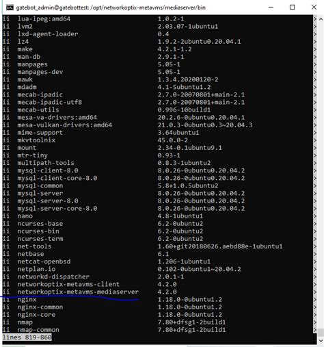 Start Nx Meta Server In Ubuntu Via Terminal Cli Network Optix