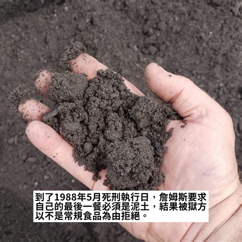 歷史梗圖 吃土 豆腐 ･᷄ὢ･᷅ Tofutaiwanese Dcard
