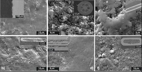 Sem Micrograph Of The Core Microstructures Of A Ss2 B Ti1 Download Scientific Diagram