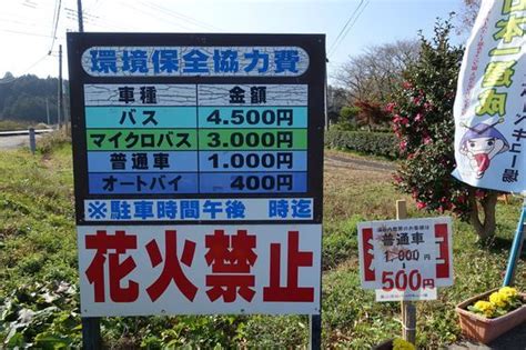 嵐山渓谷の紅葉 2024年の見頃と現在の状況はアクセス方法と駐車場は 歩いてみたブログ