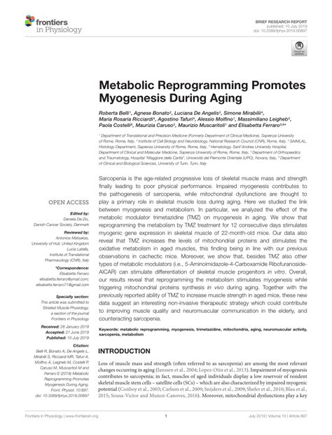 Pdf Metabolic Reprogramming Promotes Myogenesis During Aging