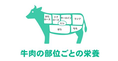 【2025年】牛肉の部位ごとのカロリー・タンパク質・脂質
